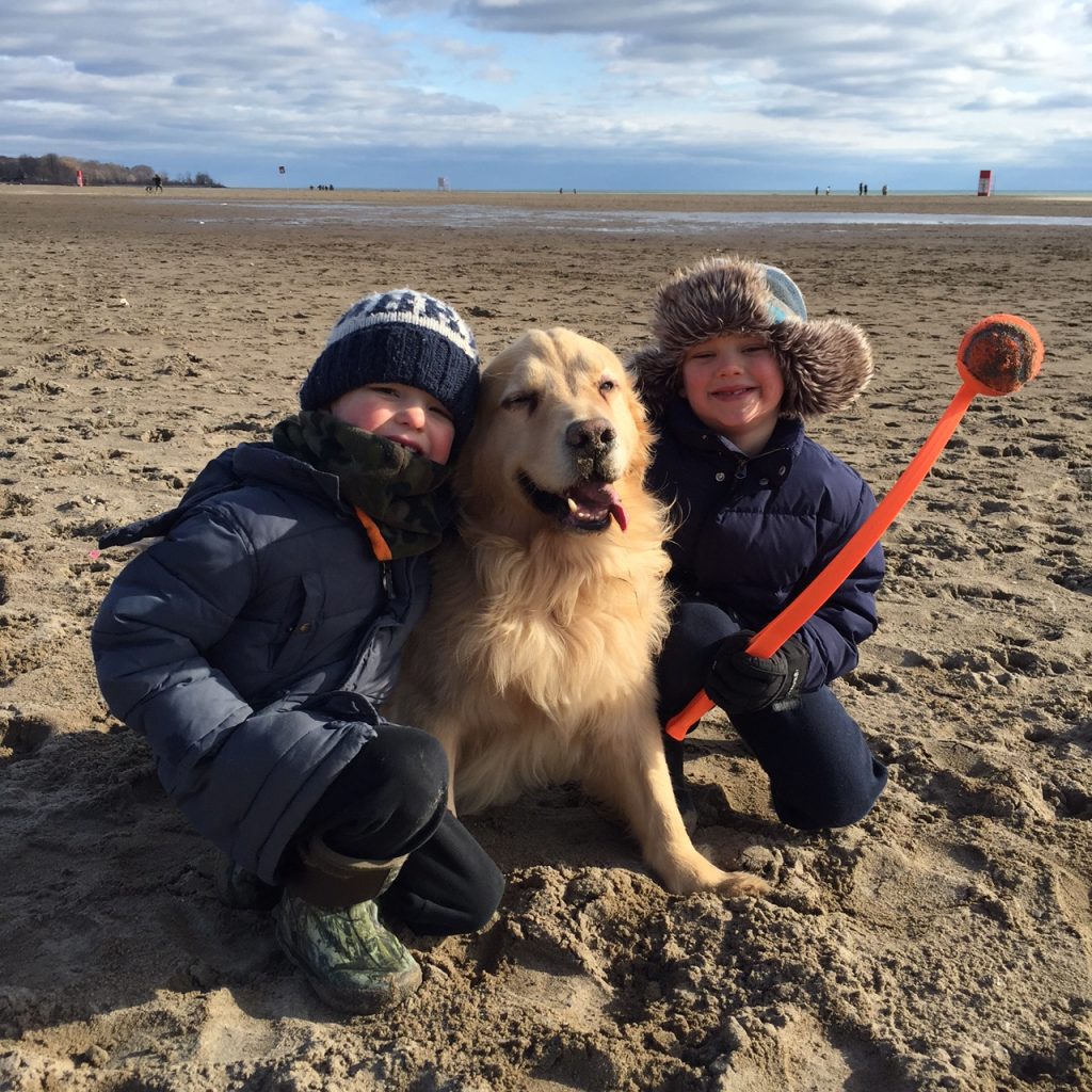 BOW- CH PRETTYRIVER BOW O’AMBERCROT CD WC CGN – Ambercroft Golden ...